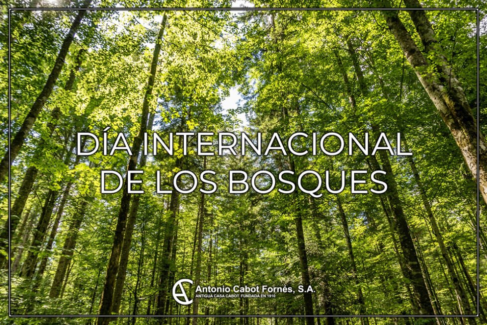 DÍA INTERNACIONAL DE LOS BOSQUES | Antonio Cabot Fornés